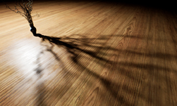 DX12 Ray Tracing Tutorials | NVIDIA Technical Blog